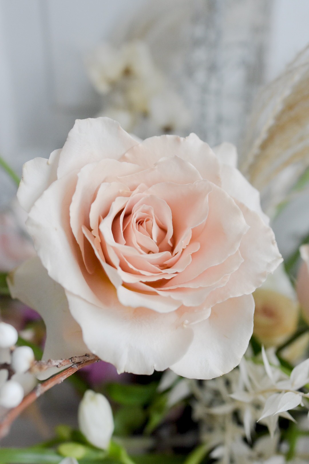 5 Flowers for the Month of Janauary | The Ferguson Cottage